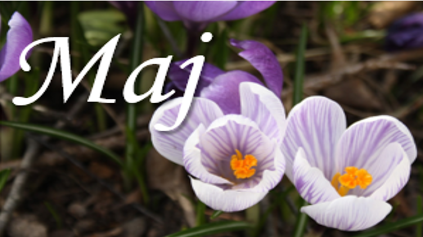 Boken är tankens barn: Läst i Maj 2016