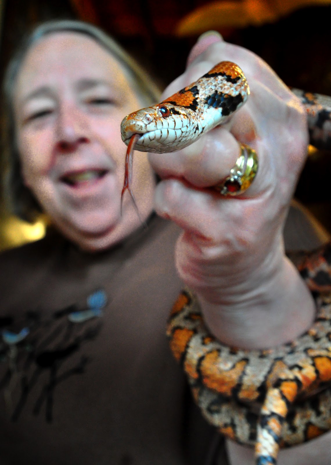 Life's a snapshot: Ann Rutledge is the 'snake lady'