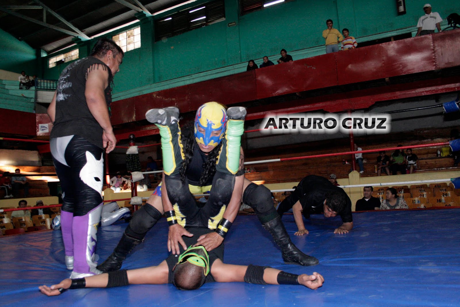 ESTRELLAS DEL RING.: EL EXÓTICO Y ARENITA DERROTAN A LOS RUFIANES EN LA ...