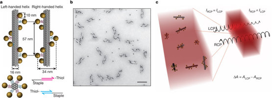 Tailored optical material from DNA: Light-modifying nanoparticles ...