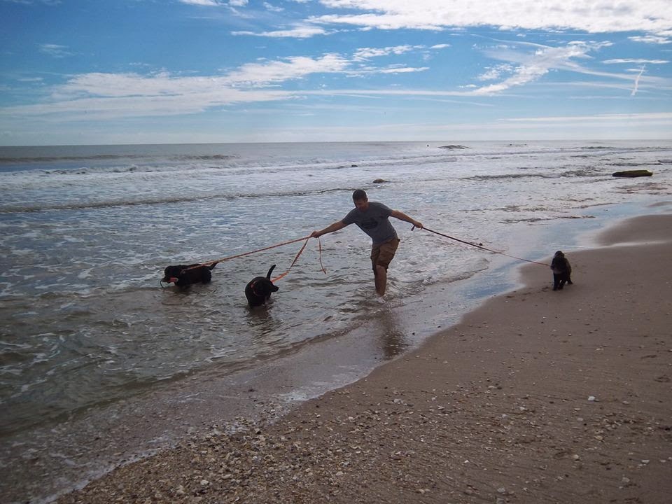 Jack and Darlene's Story: Canova Dog Park and Beach~