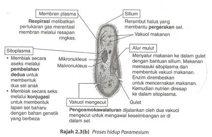seronoknyaBIOLOGI!: BAB 2