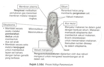 seronoknyaBIOLOGI!: BAB 2
