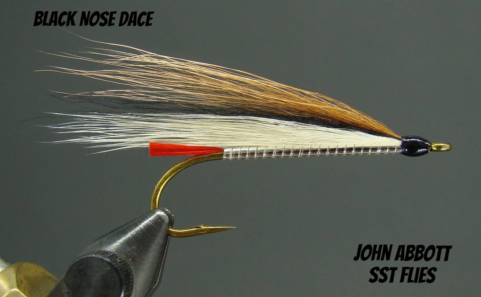 SST Flies: Salmon Steelhead and Trout Fly Tying: Black Nose Dace