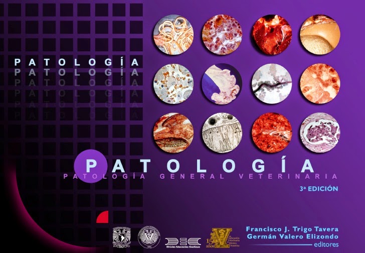 Patologia