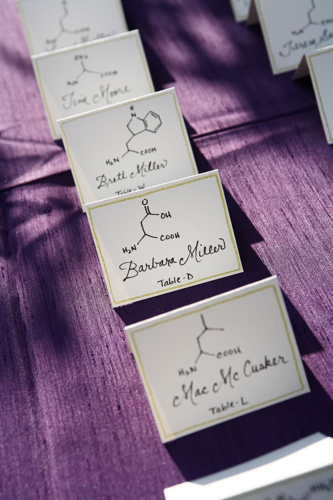 Allison K. Walker Art & Illustration: Science Wedding Calligraphy