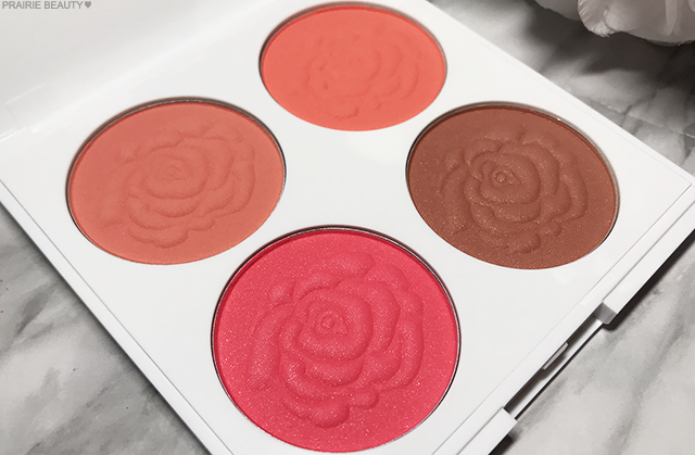 Prairie Beauty: REVIEW: Avon Iconic Blooming Blush Palette