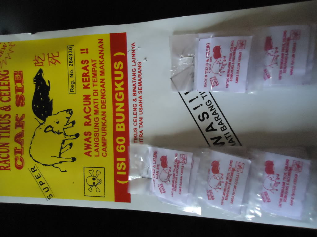 Hama Babi Hutan dan Landak Pada Tanaman Kelapa Sawit | Bceceran dimana mana