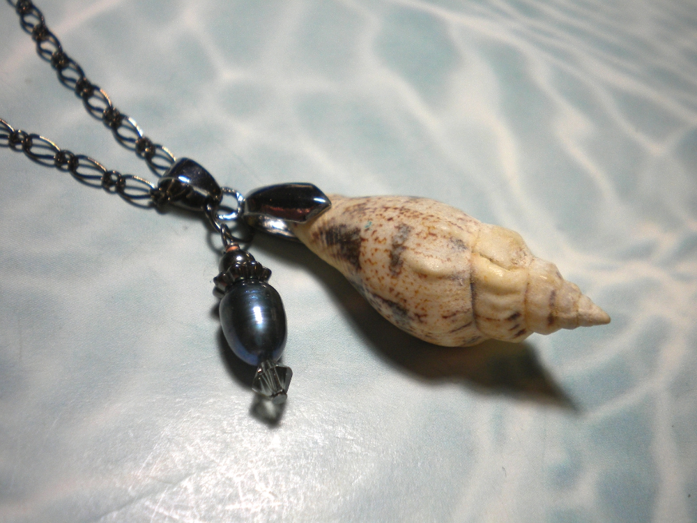 Del's Shells: Sunshine & Seashells