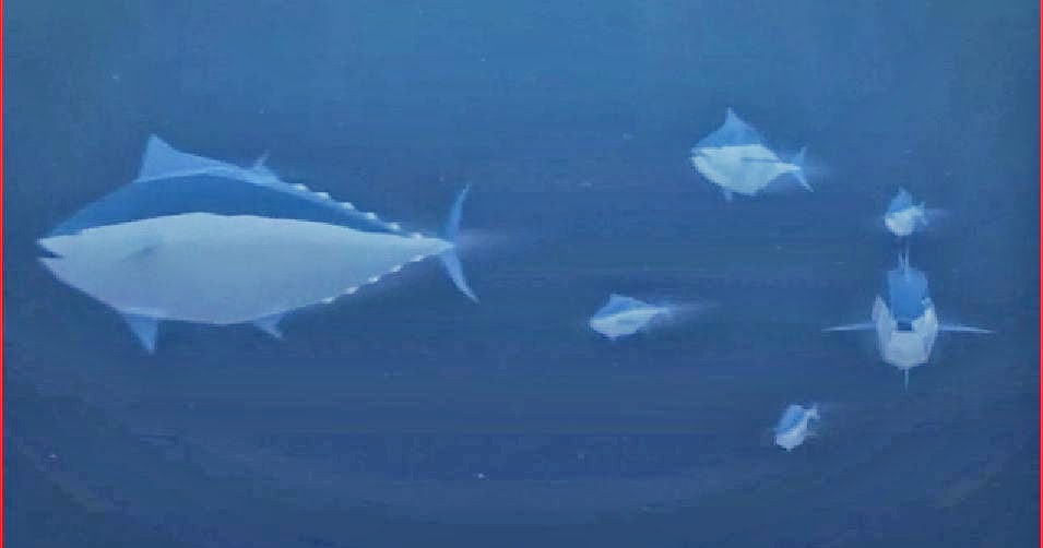 Animated Film Reviews: "End Overfishing" Animation