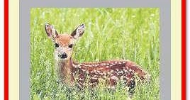 CHODAVARAMNET: LIST OF NAVA GRAHALU - THE NAMES OF NINE PLANETS AND ITS ...