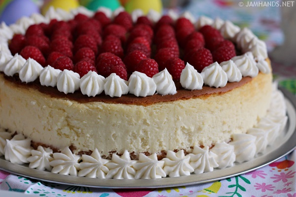 Apricot and Raspberry Junior's Cheesecake