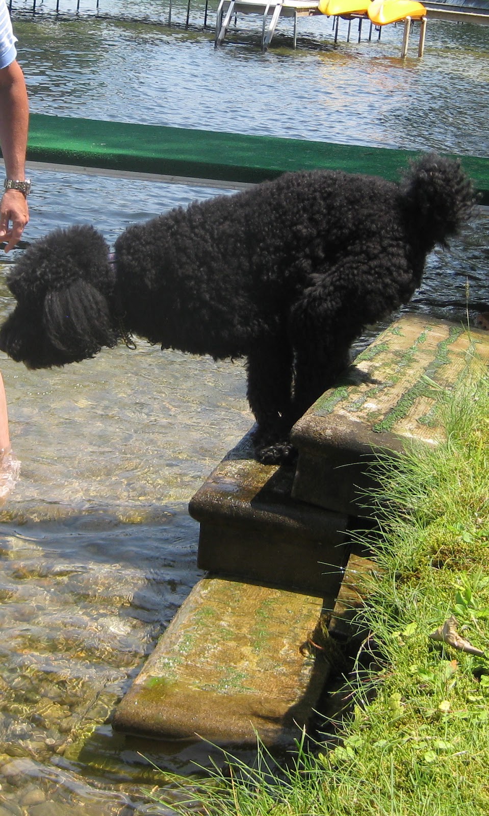 Green Garden Productions