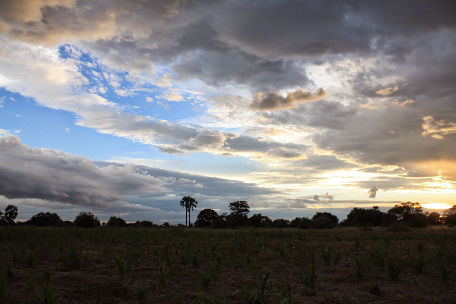 An Appel A Day: Landscapes