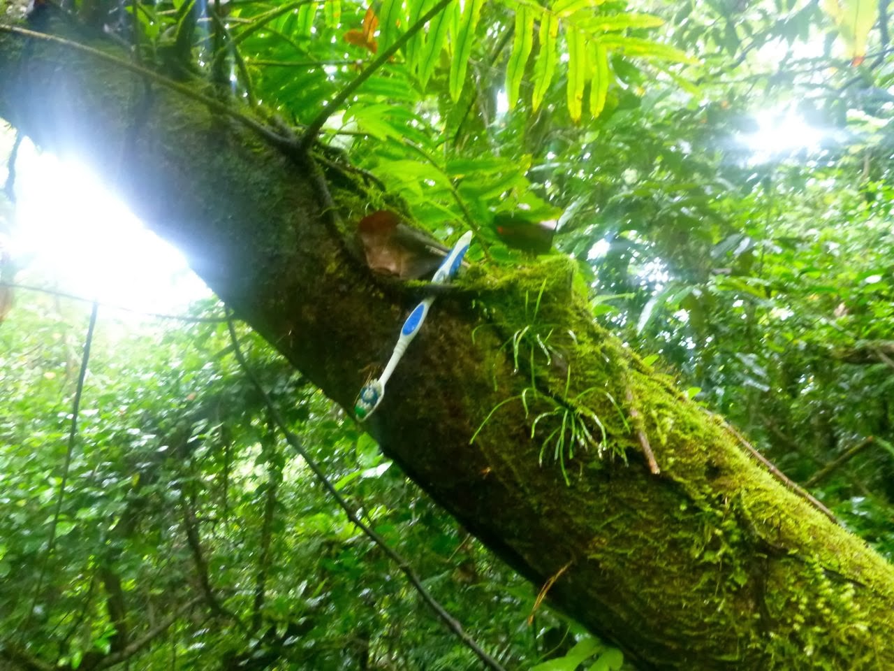Saul and Chelsia: Over the Moon and Back: Aoloau Bay