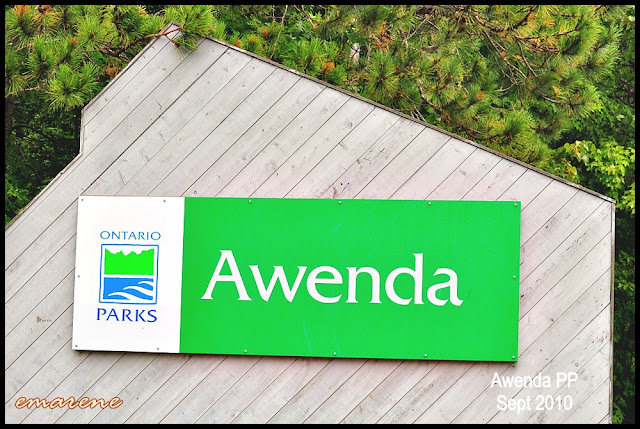 This Randomness: Awenda Provincial Park