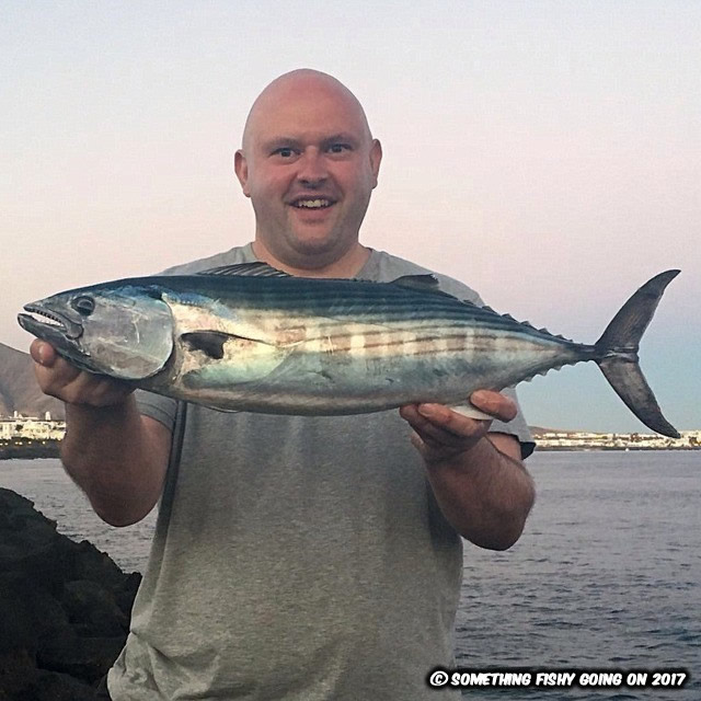 Something Fishy Going On: Lifetime Species List.