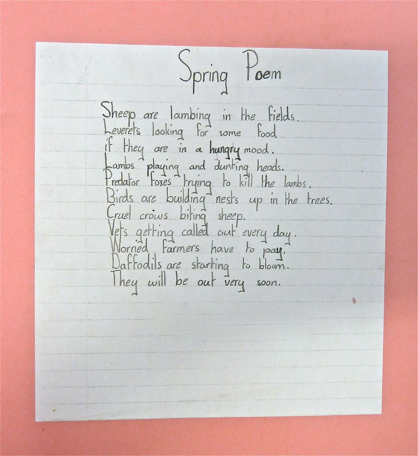 Leckaun National School: Spring Poetry on the Vernal Equinox