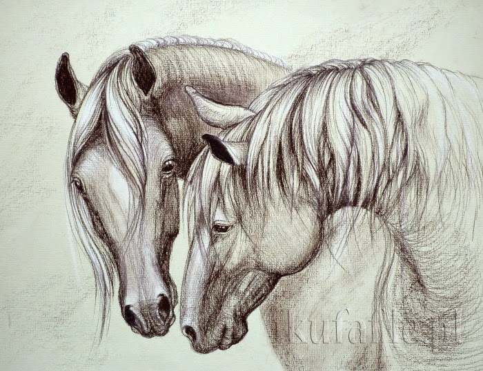 30+ Rysunki Koni Latwe