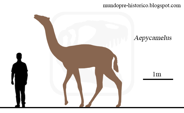 Mundo Pré-Histórico: Aepycamelus, o camelo girafa