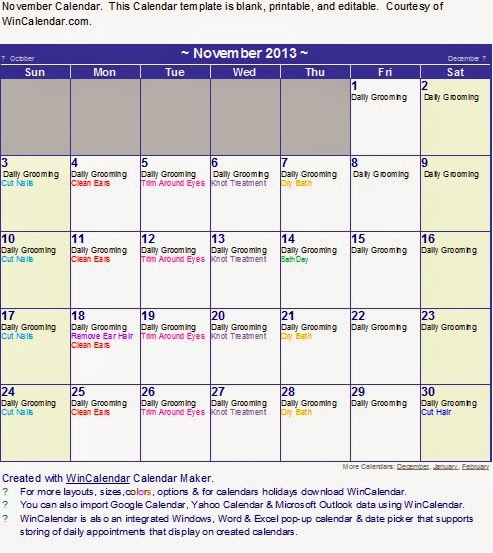 Life with my Bernedoodle: Grooming Schedule
