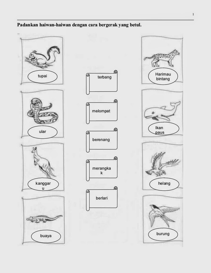 kids world: Lembaran Latihan Mengenal Haiwan