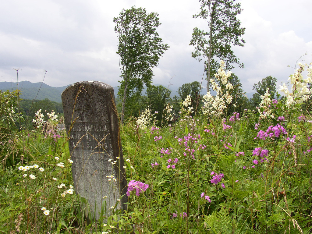 The Carpetbagger: Graves