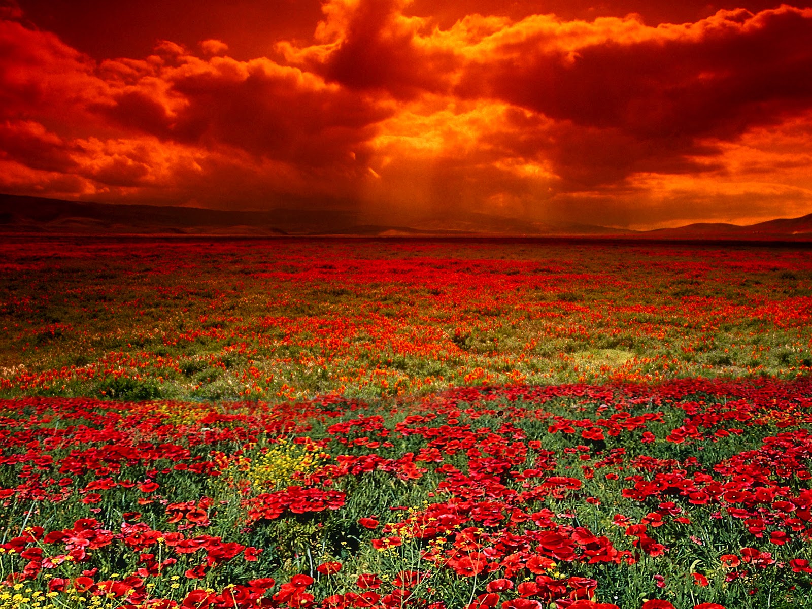 Bir birinden En Güzel 78 Tane Doğa Resimleri - Resim - Fotoğraflar Galeresi