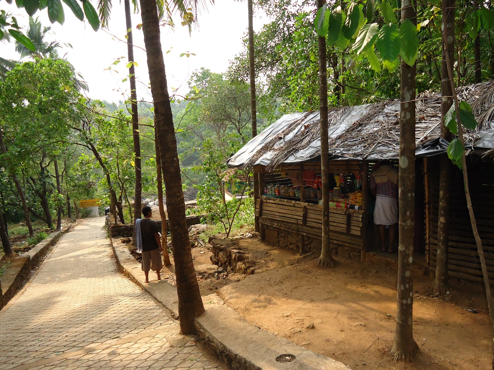 Travel Through Kerala: Arippara Water Falls: Enjoy the naked beauty of ...