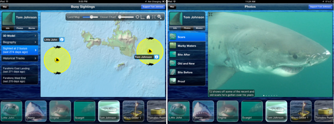 RTSea Blog: observations on oceans, sharks and nature: Shark Net: Dr ...