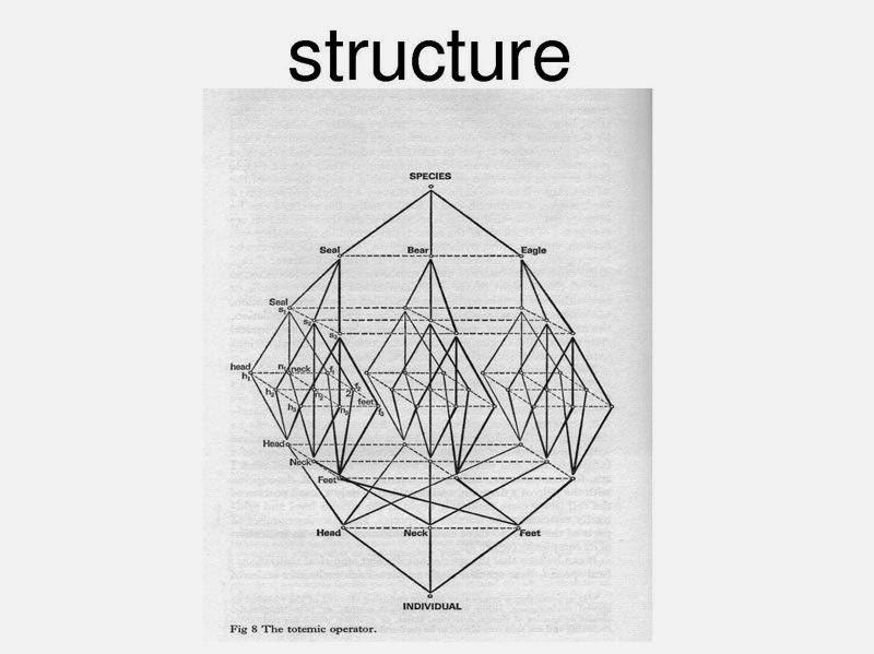 rhizomes... | practisepractice