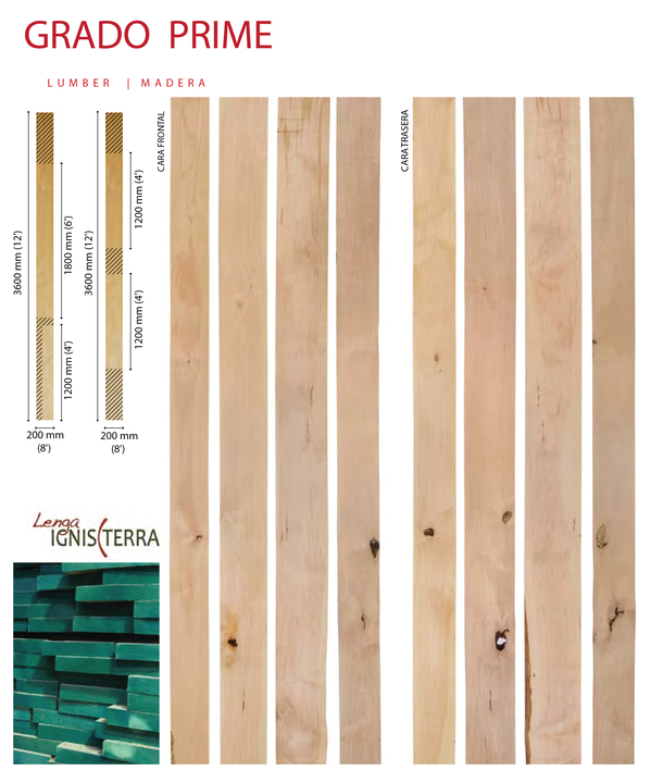 Marzua: Madera de Lenga