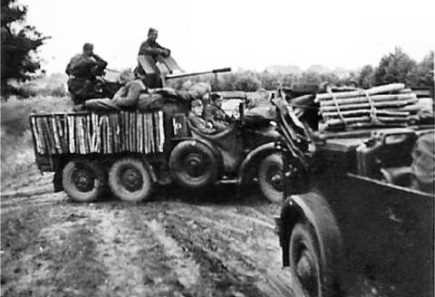 Krupp-protze - JungleKey.de Bilder