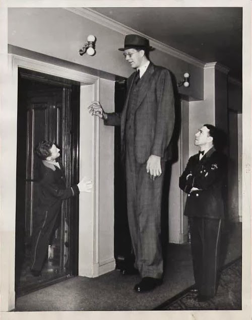 Letrinas: Robert Wadlow