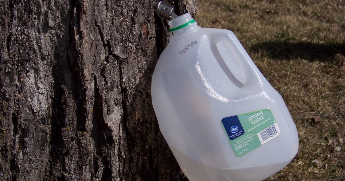 Iron Oak Farm: Old Fashined Maple Kettle Syrup