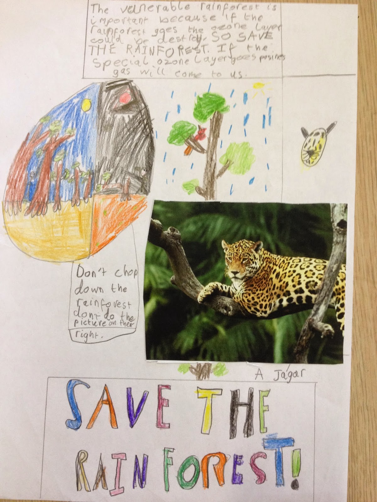 Year 3 - South America Base: Literacy - Persuasive Posters