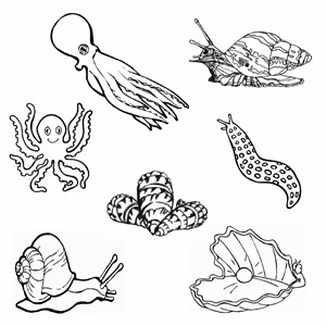 Micii biologi: Verificaţi-vă cunoştinţele