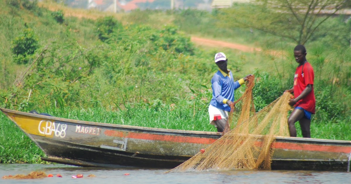 The Aquaculturists: 07/07/2016: Global per capita fish consumption ...
