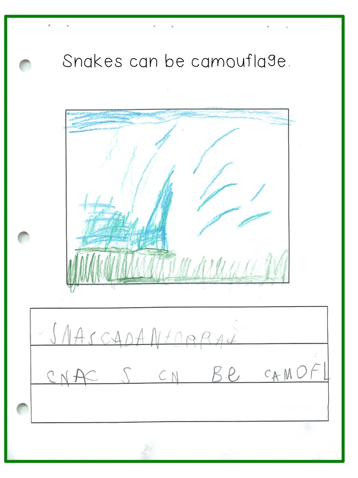 Joyful Learning In KC: Animal Research Writing