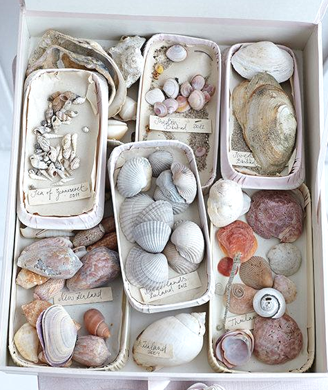 Spooning with Shells -Fun DIY Shell Spoons - Coastal Decor Ideas and ...