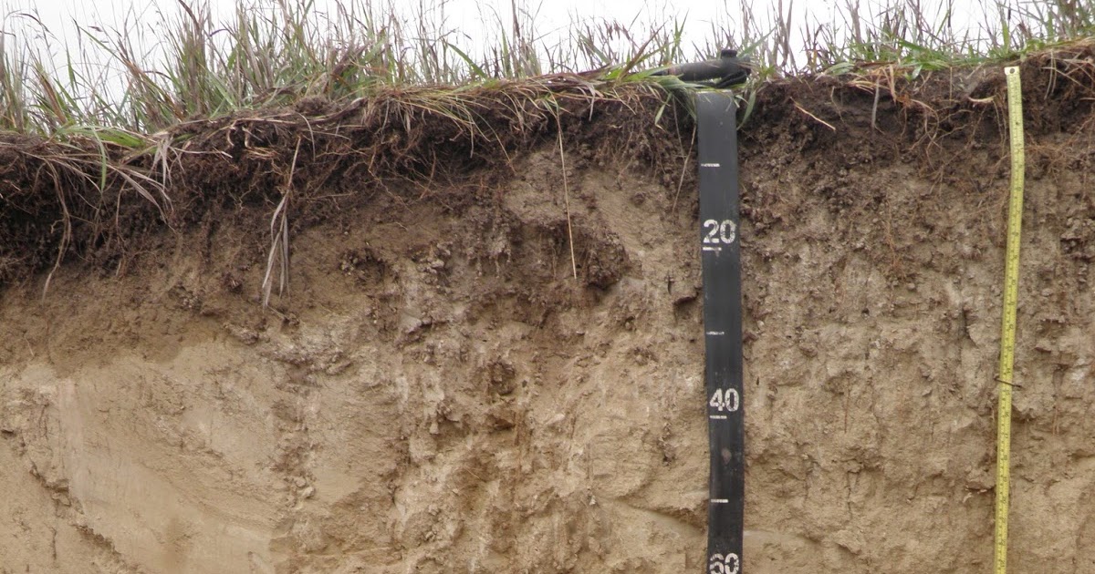 University of Minnesota Soil Judging Team: 2017 ASA Regionals, Redfield ...