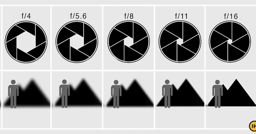 Learning the Basics: APERTURE, ISO, AND SHUTTER SPEED