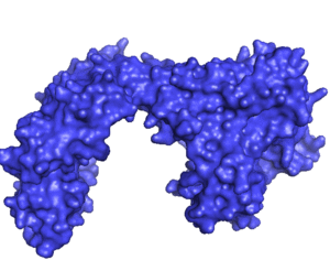 Structure of Collagenase G and Mechanism of Bacterial Collagenolysis ...