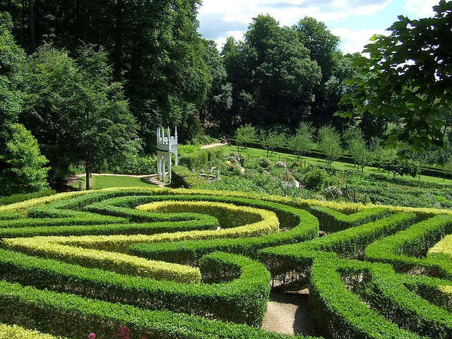 Culture Mechanism: The Rococo Across the Disciplines