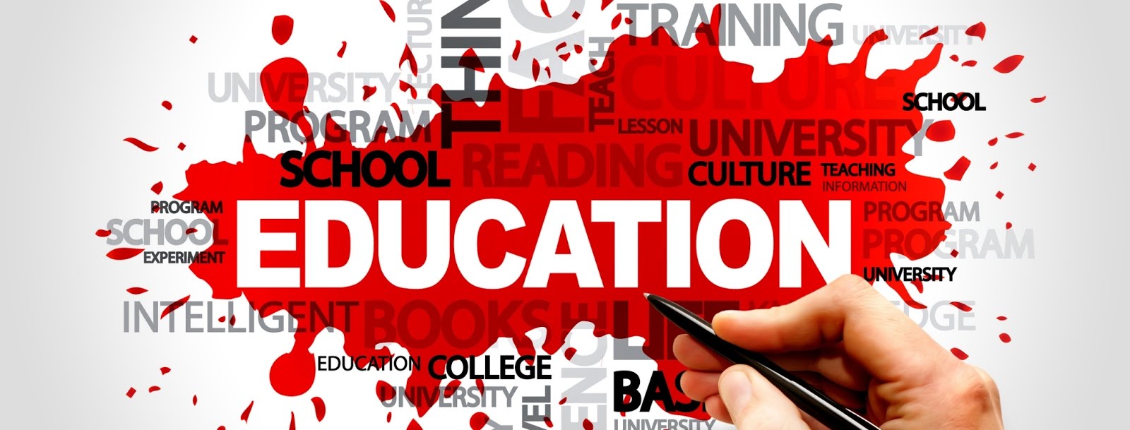 Educational Problem Solving