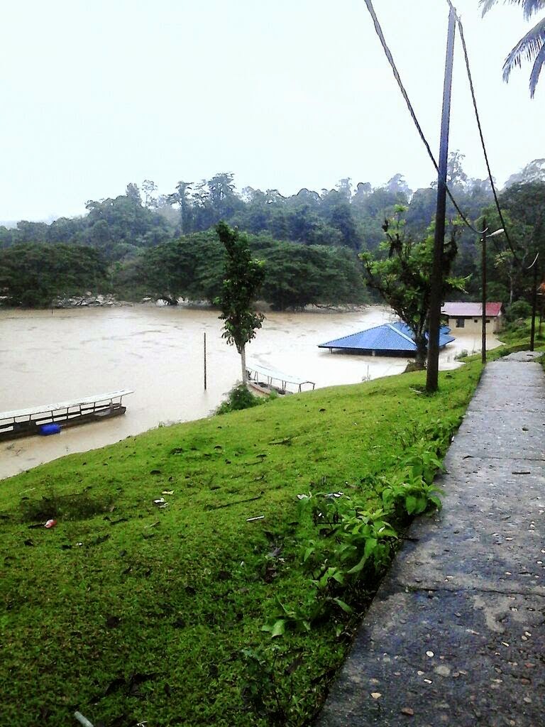 kzso: Calling All Malayians : Kuala Tahan, Ulu Tembeling, Taman Negara ...
