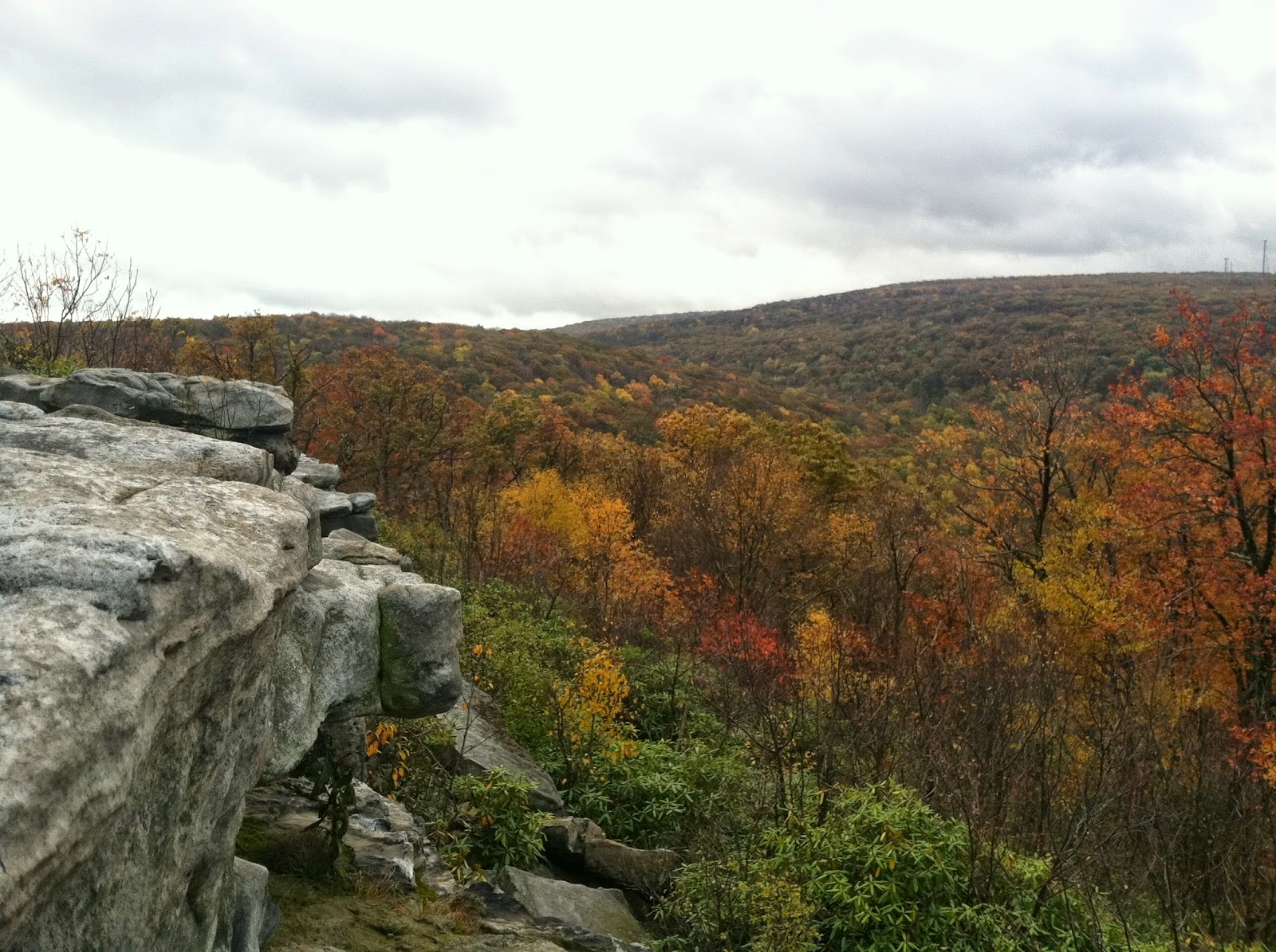 Snow and Jaggers: Forbes State Forest: Wolf Rocks Overlook