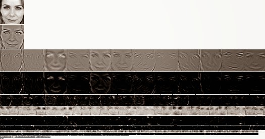 Maxim Milakov: Facial Expression Recognition Challenge