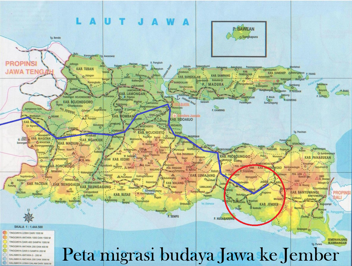 A-Cloud: Asal Mula Kebudayaan Jember