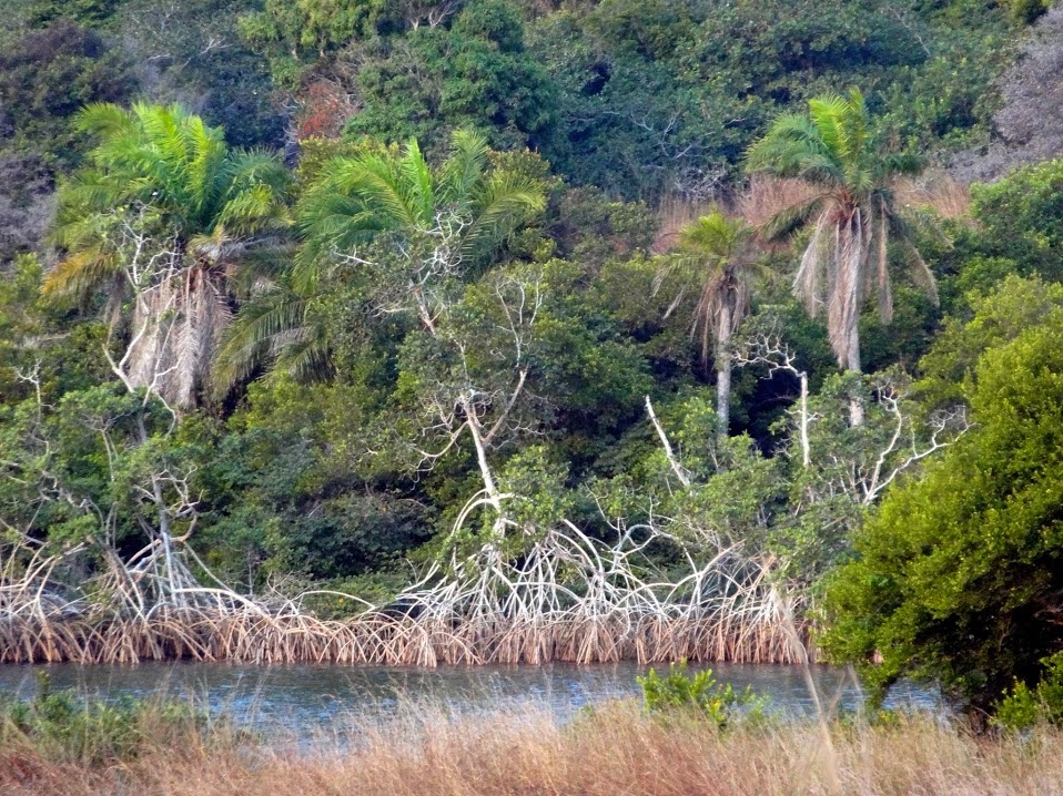 Angola: Angola:Imagens e paisagens
